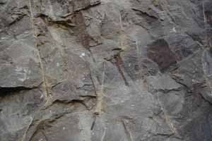 南インドの地質調査