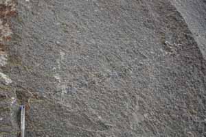 南インドの地質調査